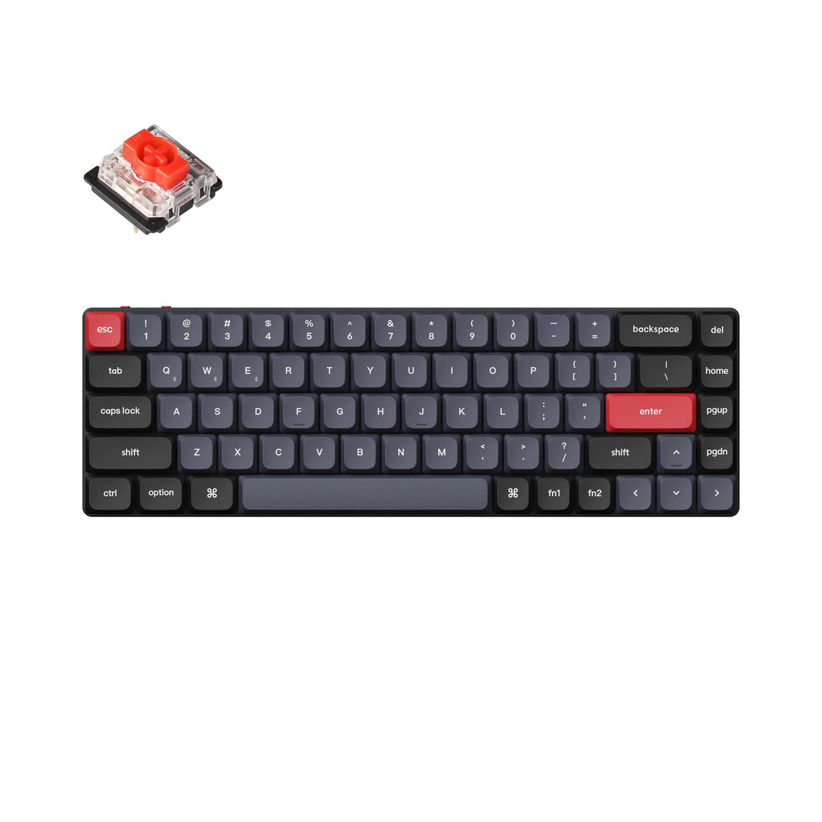 65% layout Keyboard – Keychron Japan