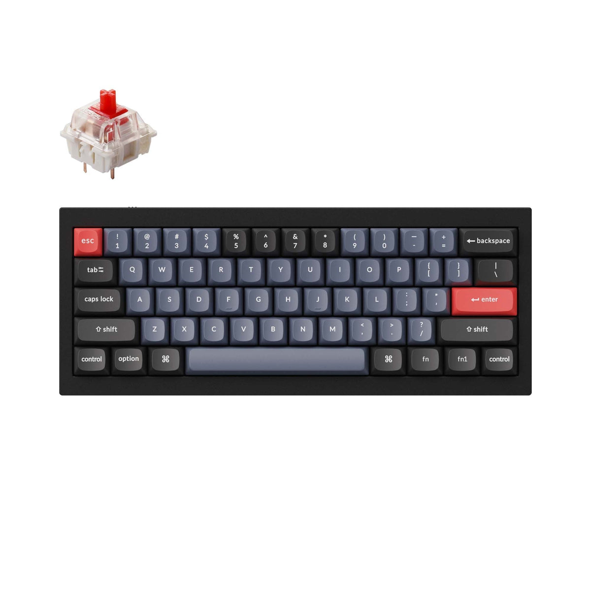 60% layout Keyboard – Keychron Japan