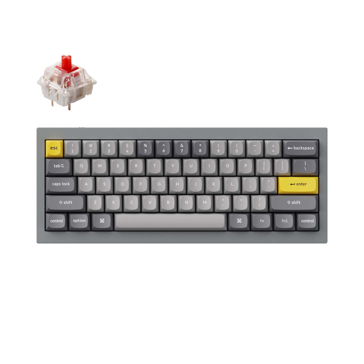 60% layout Keyboard – Keychron Japan